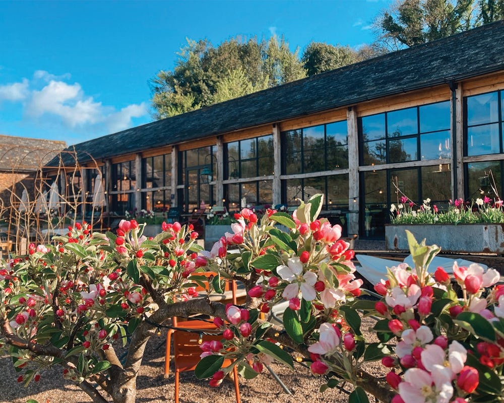 The Lost Kitchen, Devon - Restaurant Review, Menu, Opening Times