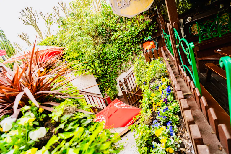 The Faltering Fullback, London - Restaurant Review, Menu, Opening Times