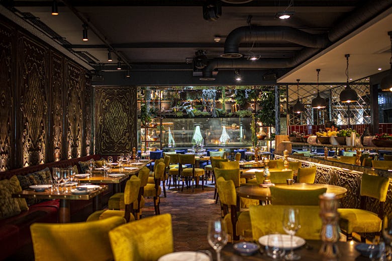Coya Mayfair, London - Restaurant Review, Menu, Opening Times
