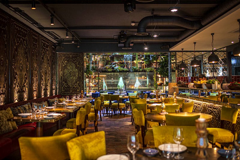 Coya Mayfair, London - Restaurant Review, Menu, Opening Times