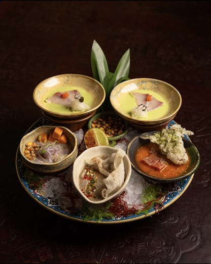 Coya Mayfair, London - Restaurant Review, Menu, Opening Times