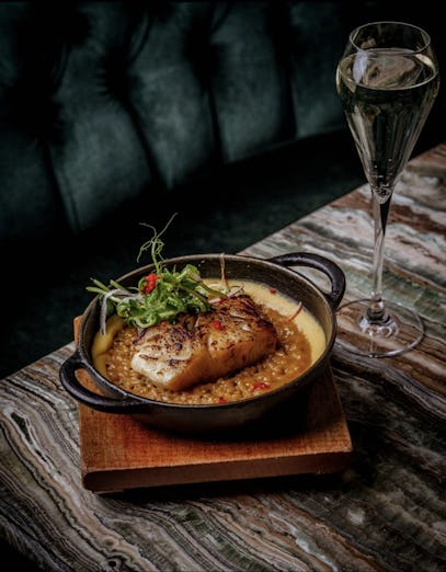 Coya Mayfair, London - Restaurant Review, Menu, Opening Times