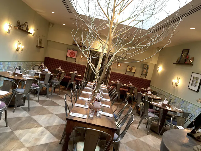 Balans Kensington, London - Restaurant Review, Menu, Opening Times
