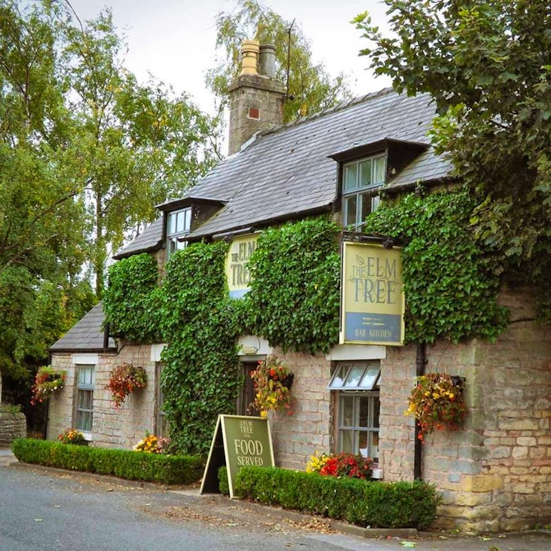 The Elm Tree, Nottinghamshire - Restaurant Review, Menu, Opening Times