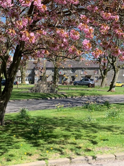 The Red Lion At Litton, Derbyshire - Restaurant Review, Menu, Opening Times