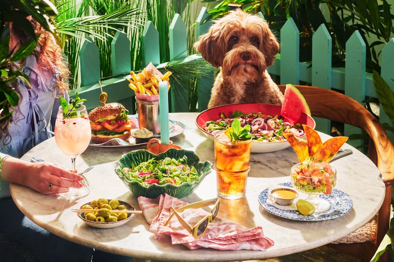 Bill's Bath Restaurant, Somerset - Restaurant Review, Menu, Opening Times