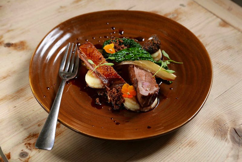 The Springer Spaniel, Cornwall - Restaurant Review, Menu, Opening Times