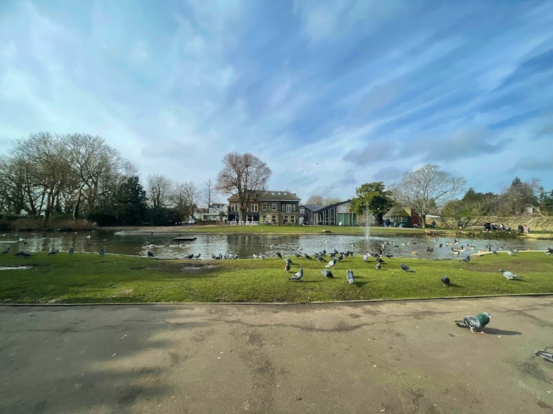 15 Japanese Restaurants near Pinner