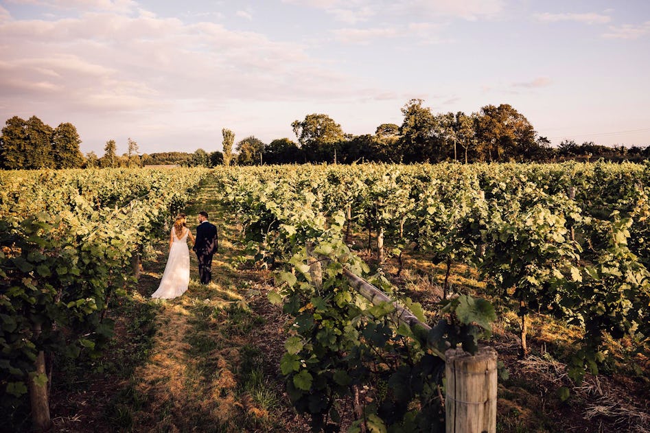Stanlake Park Vineyard & Barns, wedding venue in Berkshire - Wedding Venues