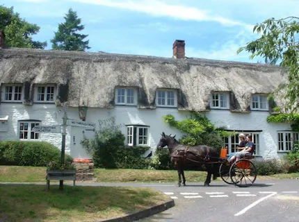 Plush Manor, wedding venue in Dorset - Wedding Venues