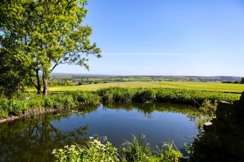 Kingston Country Courtyard, wedding venue in - Wedding Venues